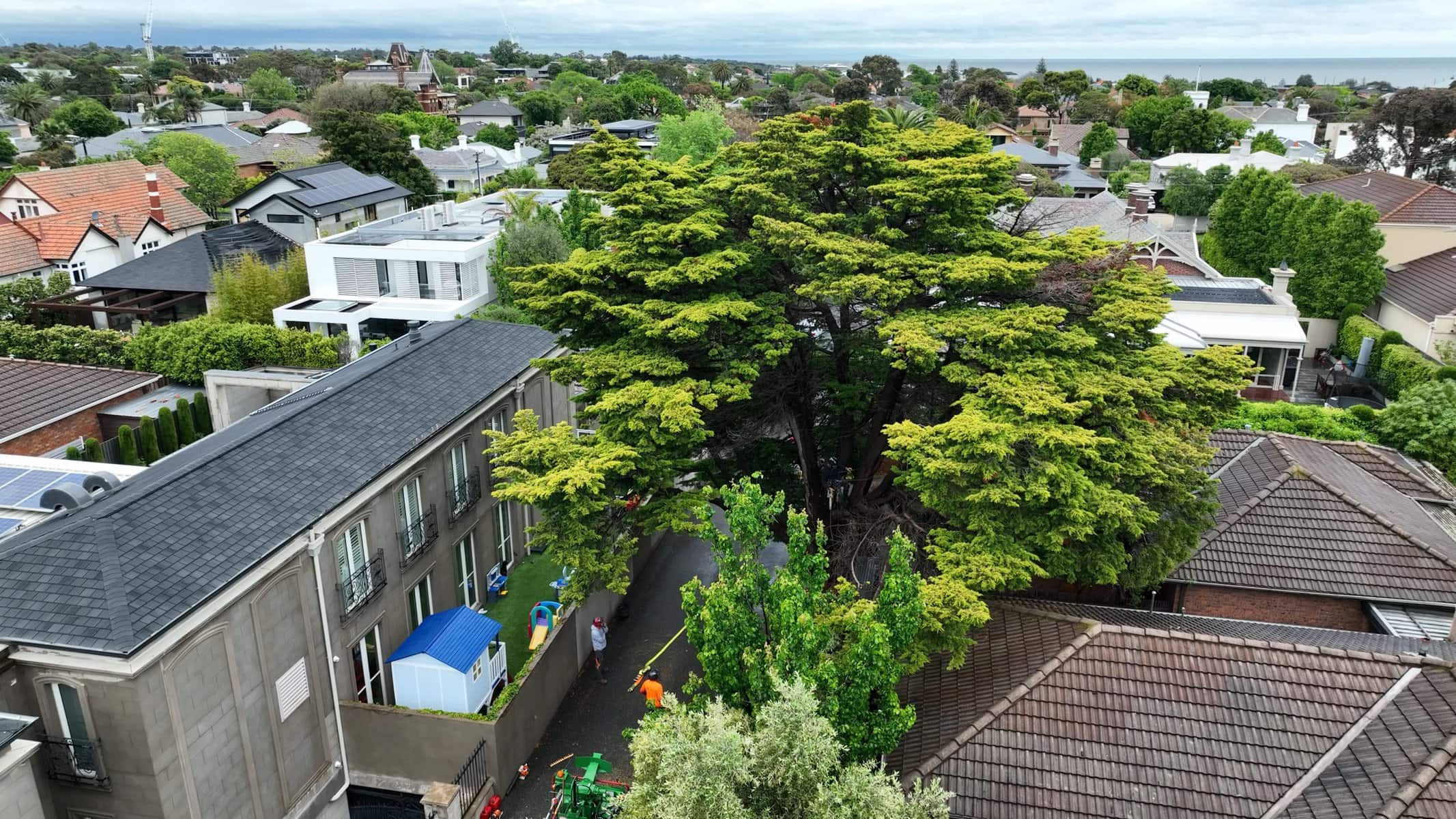 Photo Gallery - Melbourne Tree Company